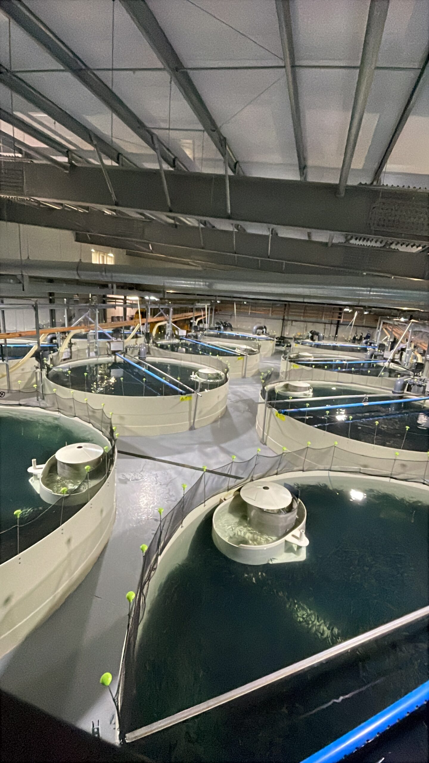 PUWER Inspections Case Study | Collard & Co